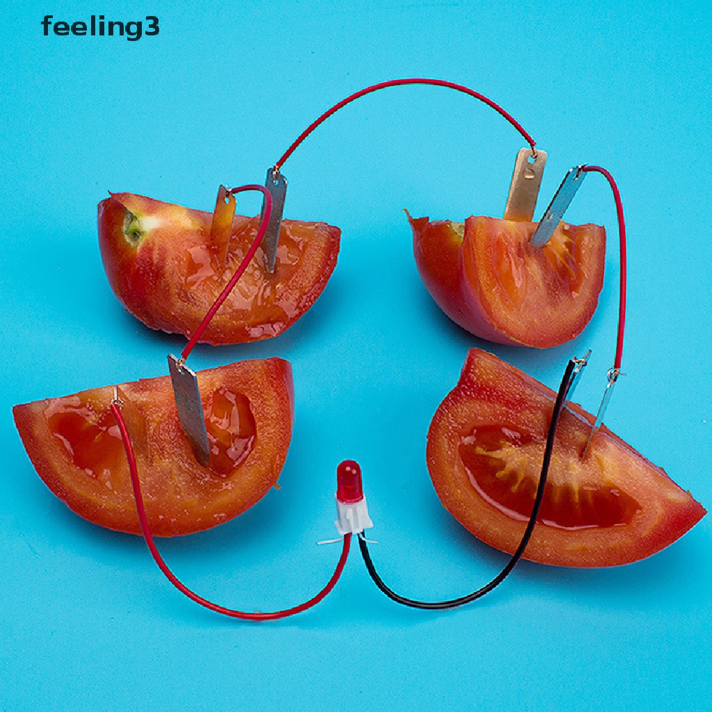 {FEEL3} 1 Set Children Bio Energy Science Kit Potato Fruit Supply ...