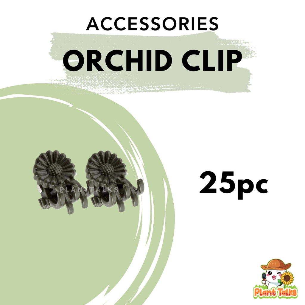 Plant Talks Plant Support Hook Stem Lock Orchid Clip for Climbing ...