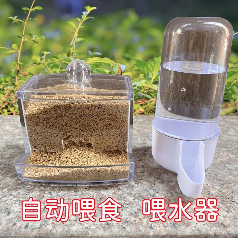 Luding Chicken Quail Pigeon Bird Feeder Small Chicken Food Sink Sink ...