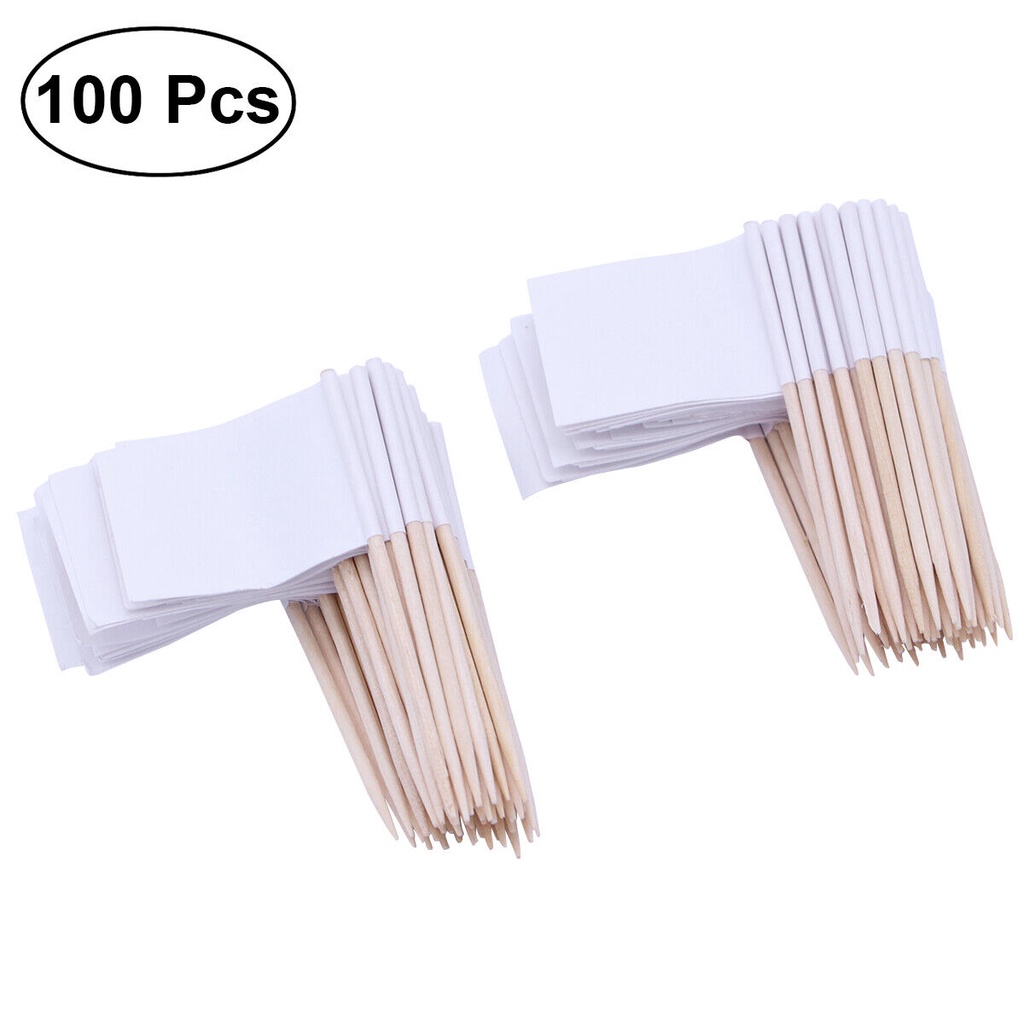 100 Pieces Blank Toothpick Flags,cupcake Toppers Appetizers Flag,DIY ...