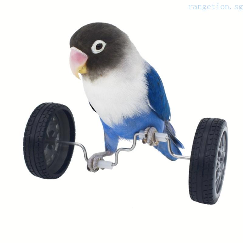 RAN Parrot Training Toy Interactive Balancing Bike Parrot Toy Resistant ...