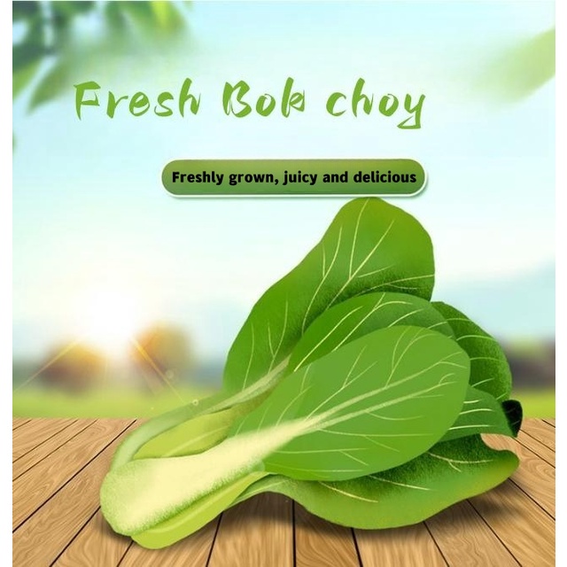 【Local seller】1500pcs emerald green cabbage seeds fast-growing hairless ...