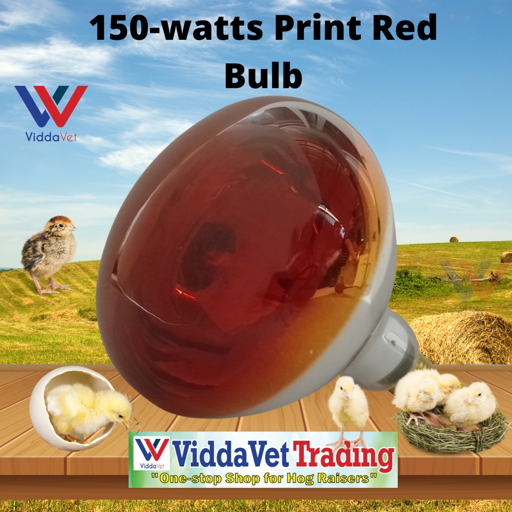 150W Infrared Heater Bulb Pig farm PRINT RED infrared replacement light ...