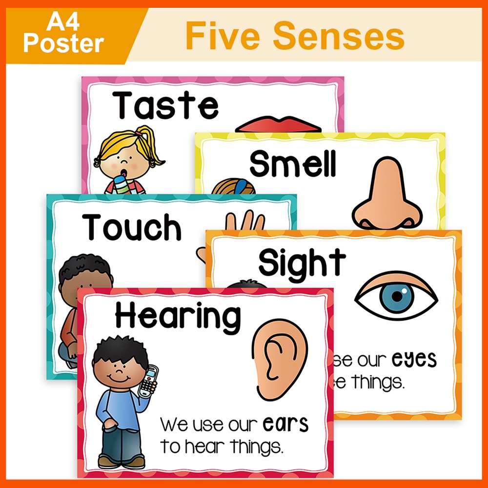Educational Five Senses Chart for Kids Poster A4 Wall Decor Classroom ...