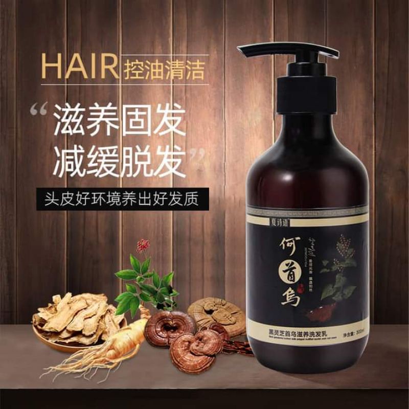 Black Ganoderma Shouwu Nourishing Shampoo | Shopee Singapore