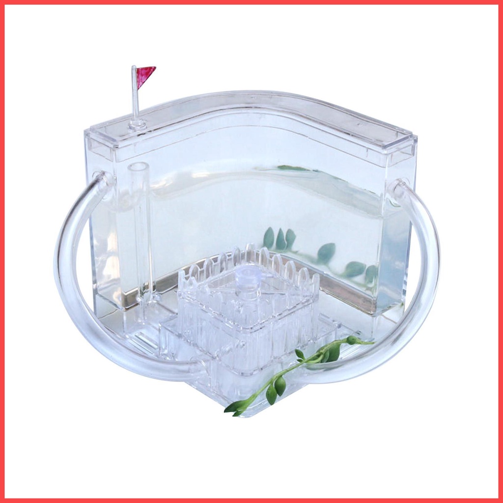 Ant Nest Observation Kit Ant Breeding Set Ant Farms for Live Ants ...