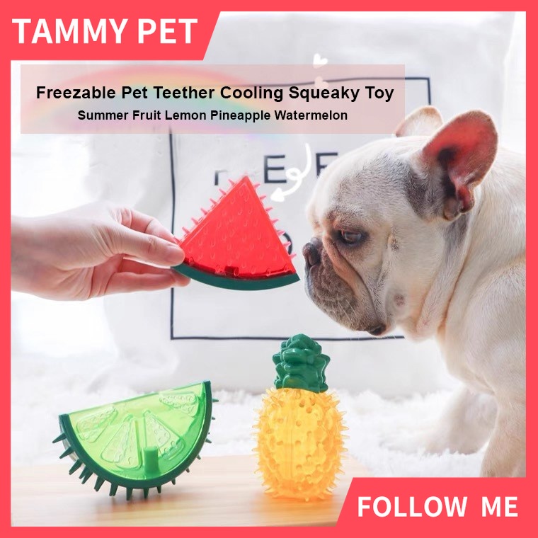SG Shipment Freezable Pet Teether Cooling Chew Toy Summer Fruit Lemon ...