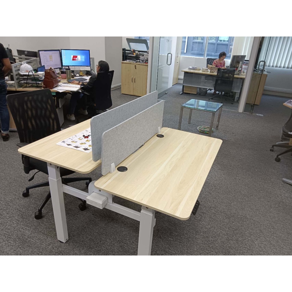 Mixlegend PEL-D Duel Office Standing Desk 2 Person Workstation Electric ...
