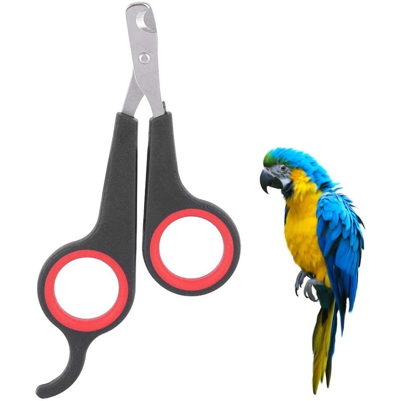 Bird Nail Clipper Grooming Tool Nail Scissors Clipper Pet Bird Parrot ...
