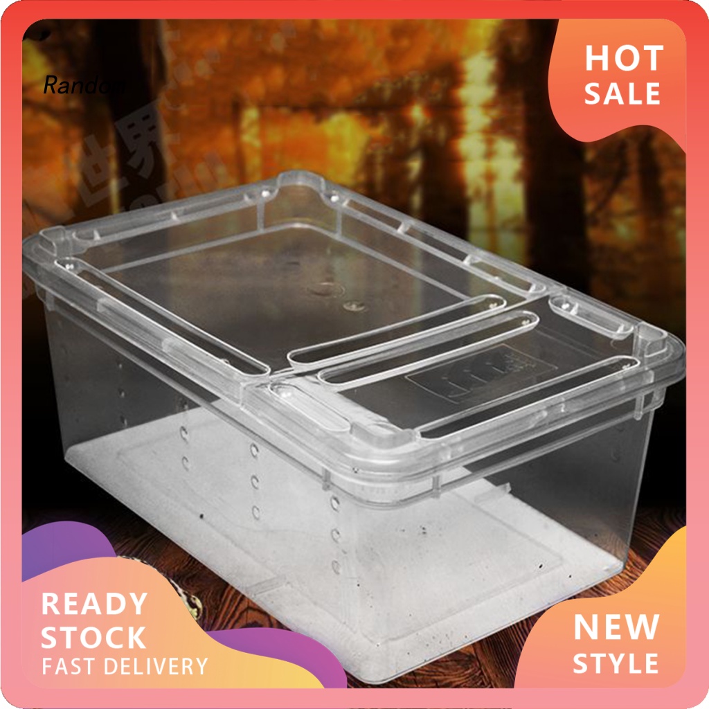 RAN Breathable Reptile Rearing Box for Shop Reptile Feeding Box ...