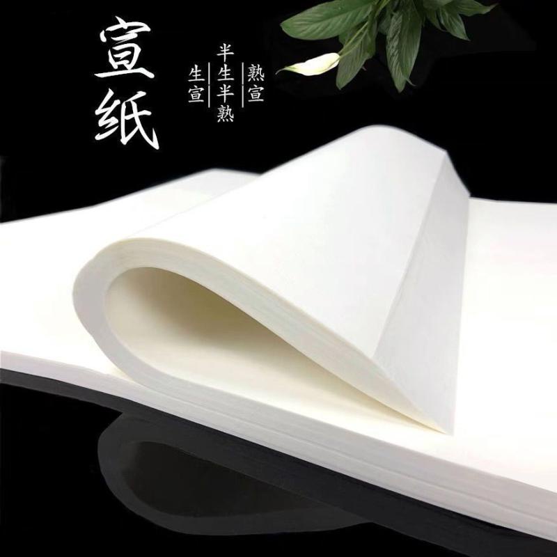 宣纸书法专用纸国画生宣纸半生半熟毛笔字练习纸熟宣纸书法作品纸Xuan Paper Calligraphy Special Paper ...