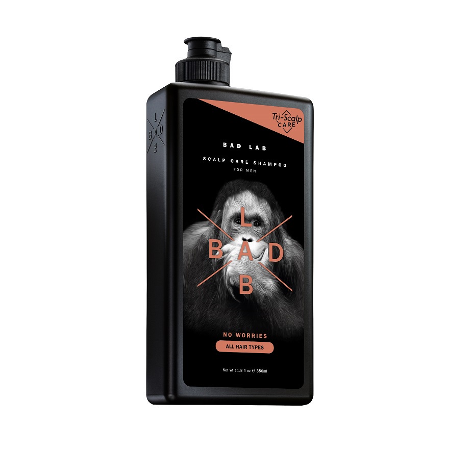 BAD LAB No Flakes ScalpCare Anti Dandruff Shampoo 350ml | Shopee Singapore