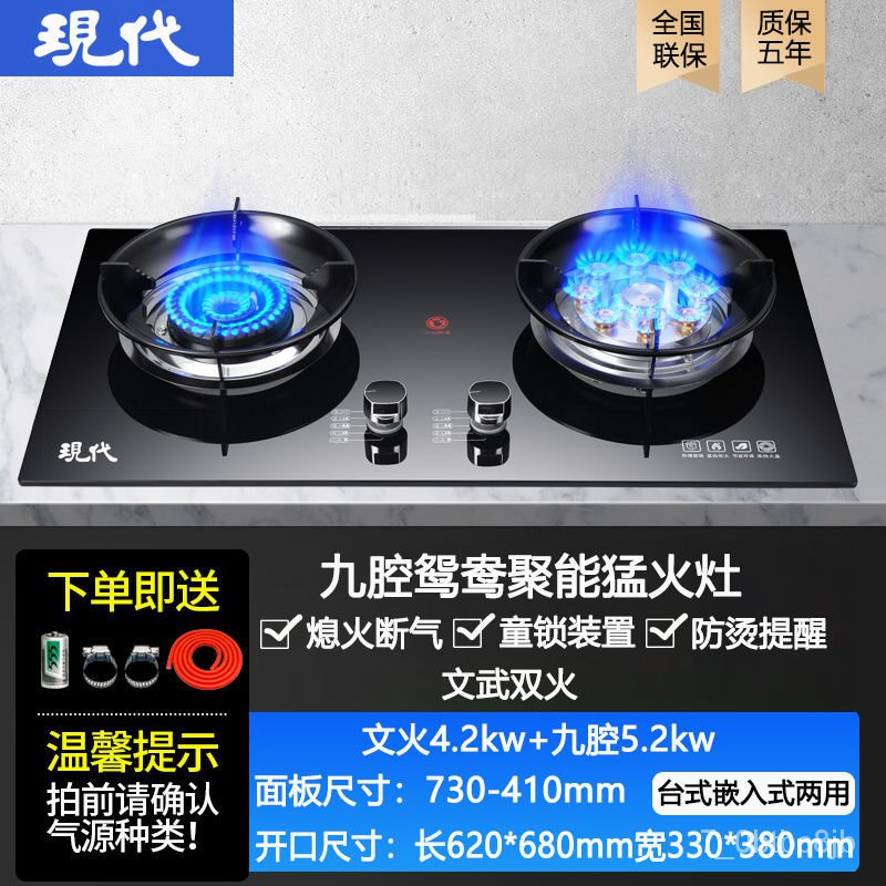 Modern Gas Stove Double Burner Embedded Natural Gas Stove Fierce Fire ...