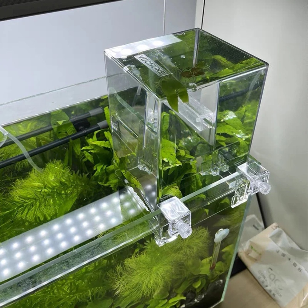 Negative Pressure Fish Tank Practical Fish Tank Ecological Landscaping ...