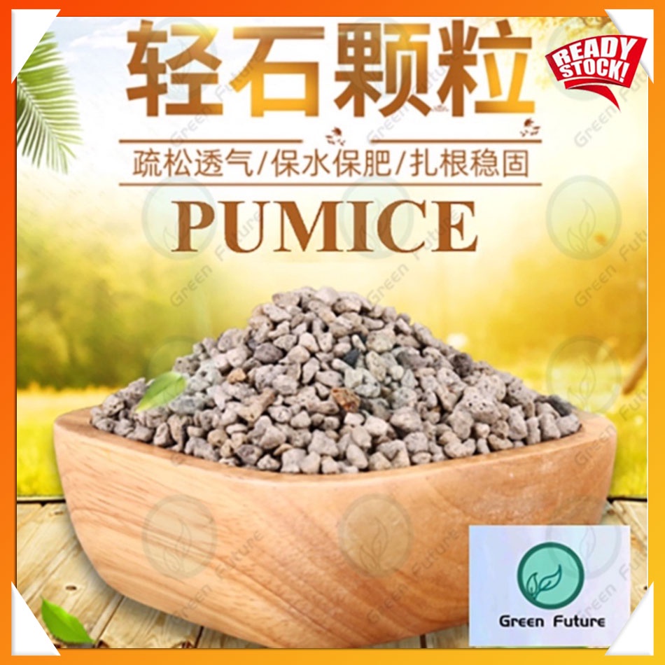 2 LITER batu apung PUMICE STONE CACTUS SUCCULENT soil 轻石 浮石 多肉轻石/浮石 ...