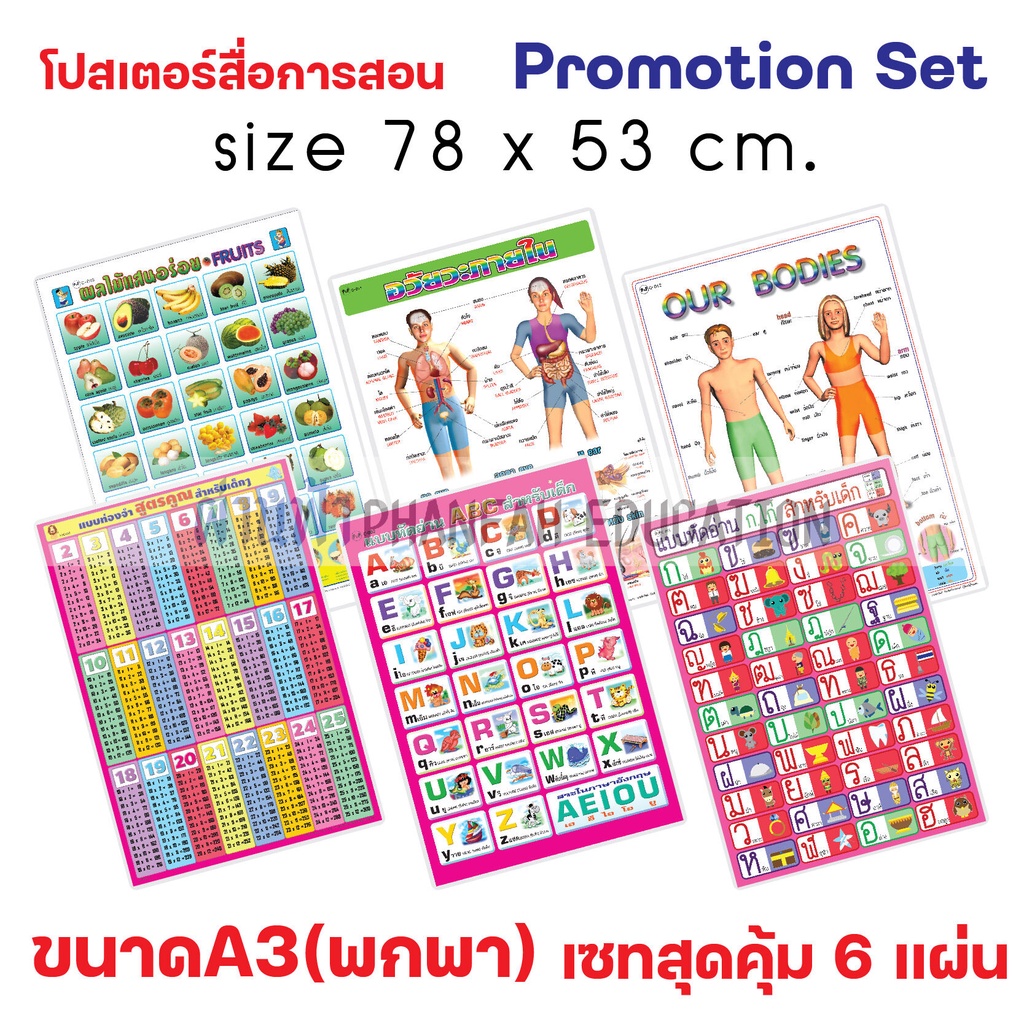 Value Set 6 Sheets A3 Portable Poster For Kids Educational ABC ...