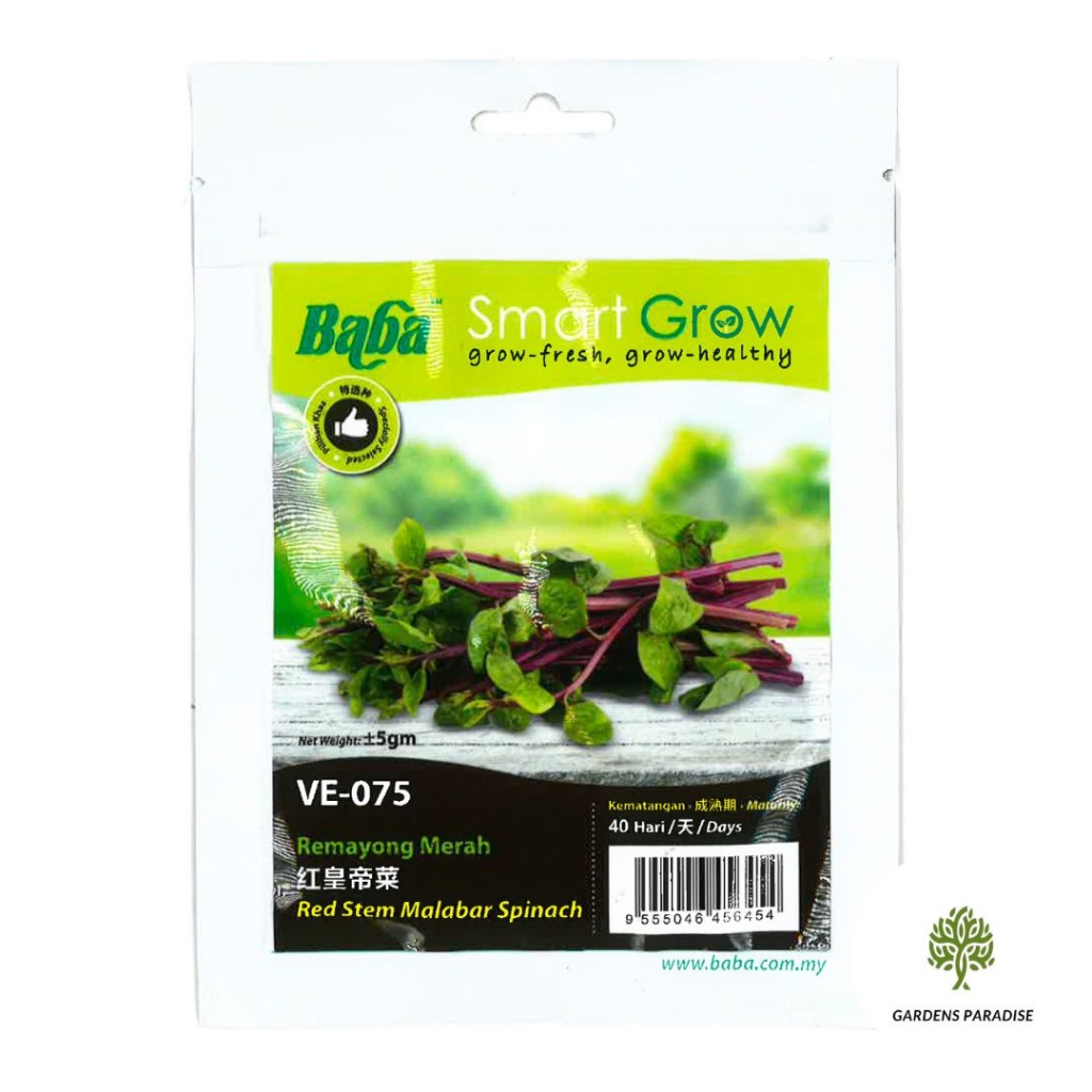 BABA Red Stem Malabar Spinach Seeds By Gardens Paradise VE-075 | Shopee ...