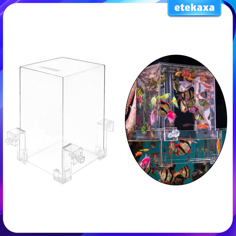 Tank Landscaping Aquarium Decoration, Acrylic Transparent fantastic ...