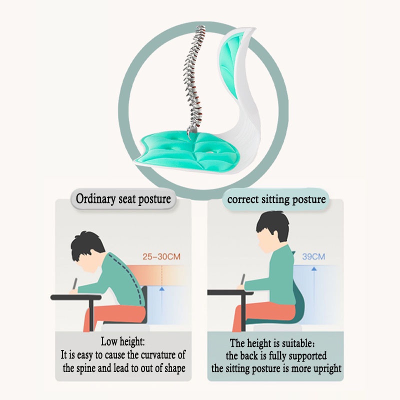 🇸🇬Ready Stock🇸🇬 Waist Support Cushion Prevent Hunchback Student Aldult ...