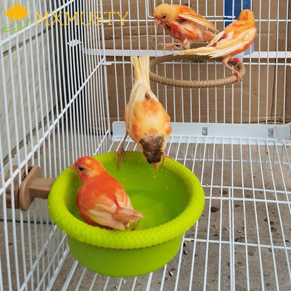MXMUSTY Parrot Bathtub Canary Lovebirds Perch Stand Multi-Function Pet ...