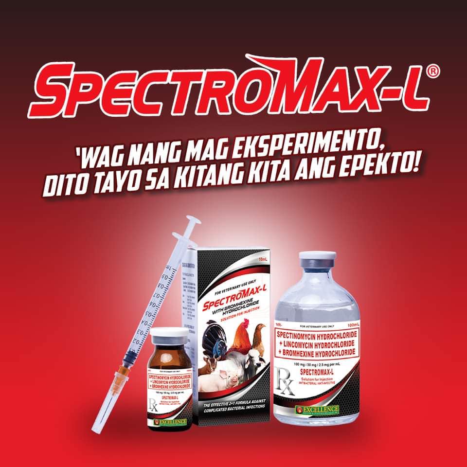 SPECTROMAX L - 100 ML Excellence Spectromax L 100mL game fowl fighting ...