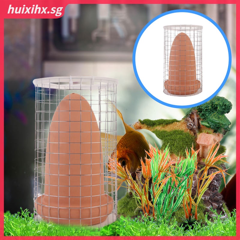 Spawning Bucket Discus Shrimp Barrels Breed Cone Fish Tank Angelfish ...