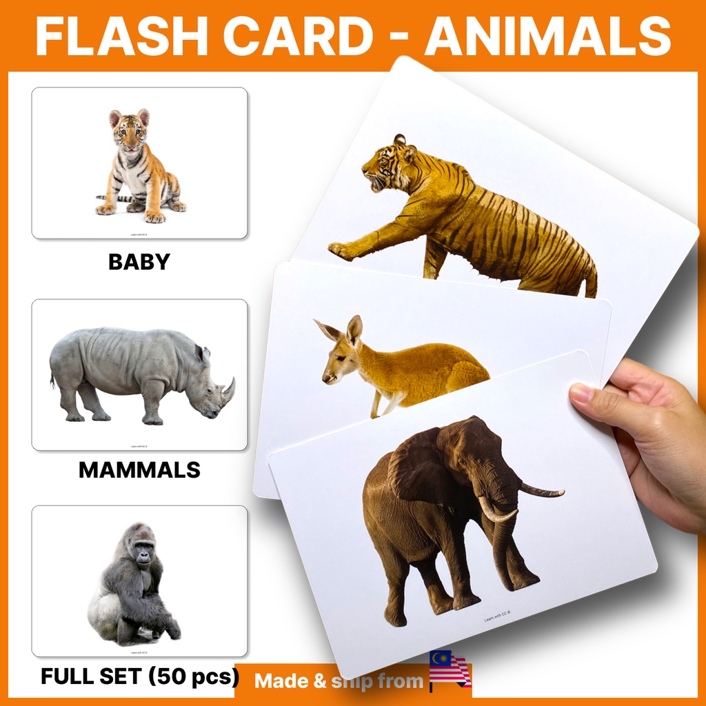 Animals Flash Card for Kids, Ocean Animals Baby Animals Big Flash Card ...
