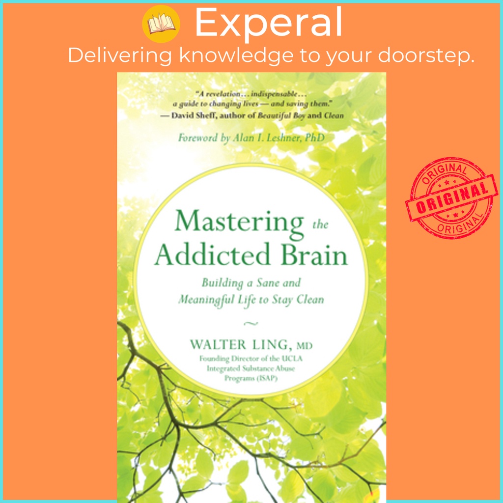 Mastering the Addicted Brain - Building a Sane and Meaningful Life to ...