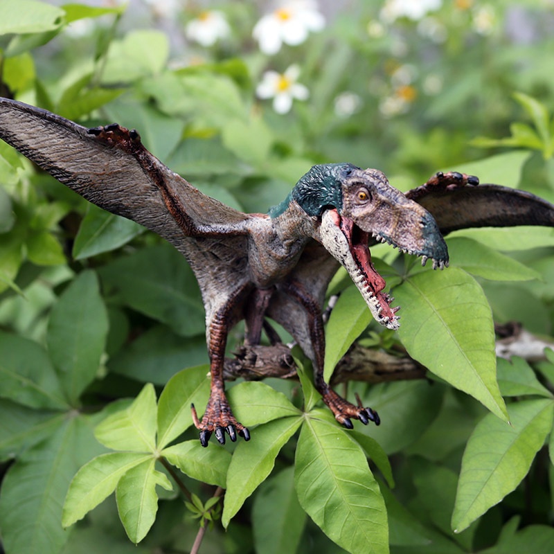 Pterosaur Jurassic Simulation Solid Dinosaur Model Toy Pterosaur ...