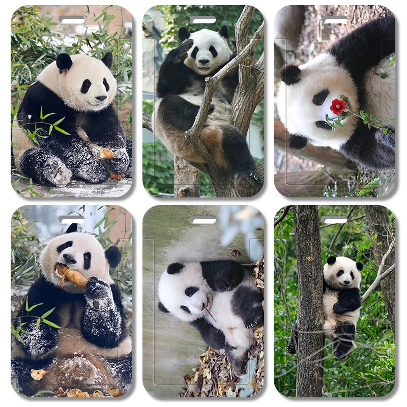Panda Cute Orchid Student Campus Card Holder Fubao Bus Meal Card Access ...