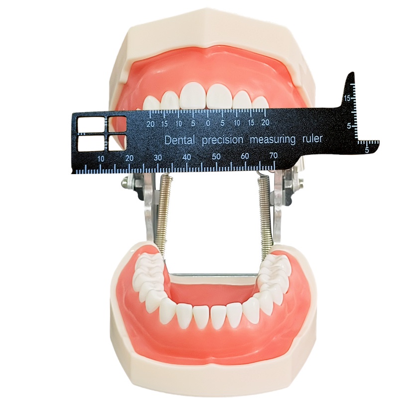 New Dental Photography Ruler Dental Precision Measuring Ruler Dental ...