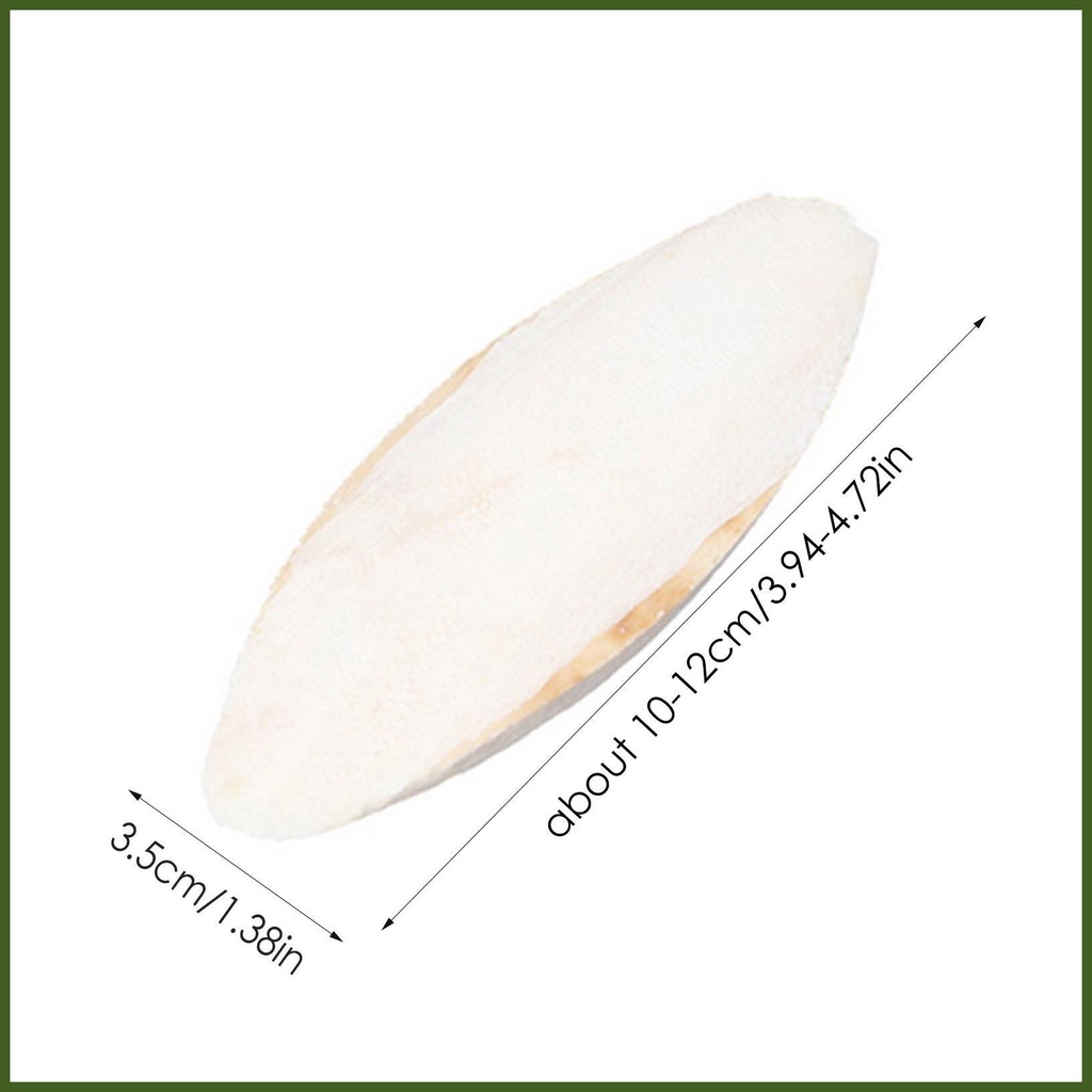 Cuttlefish Bone 10pcs Bird Cuttlebones for Parakeets Bird Cuttlebone ...
