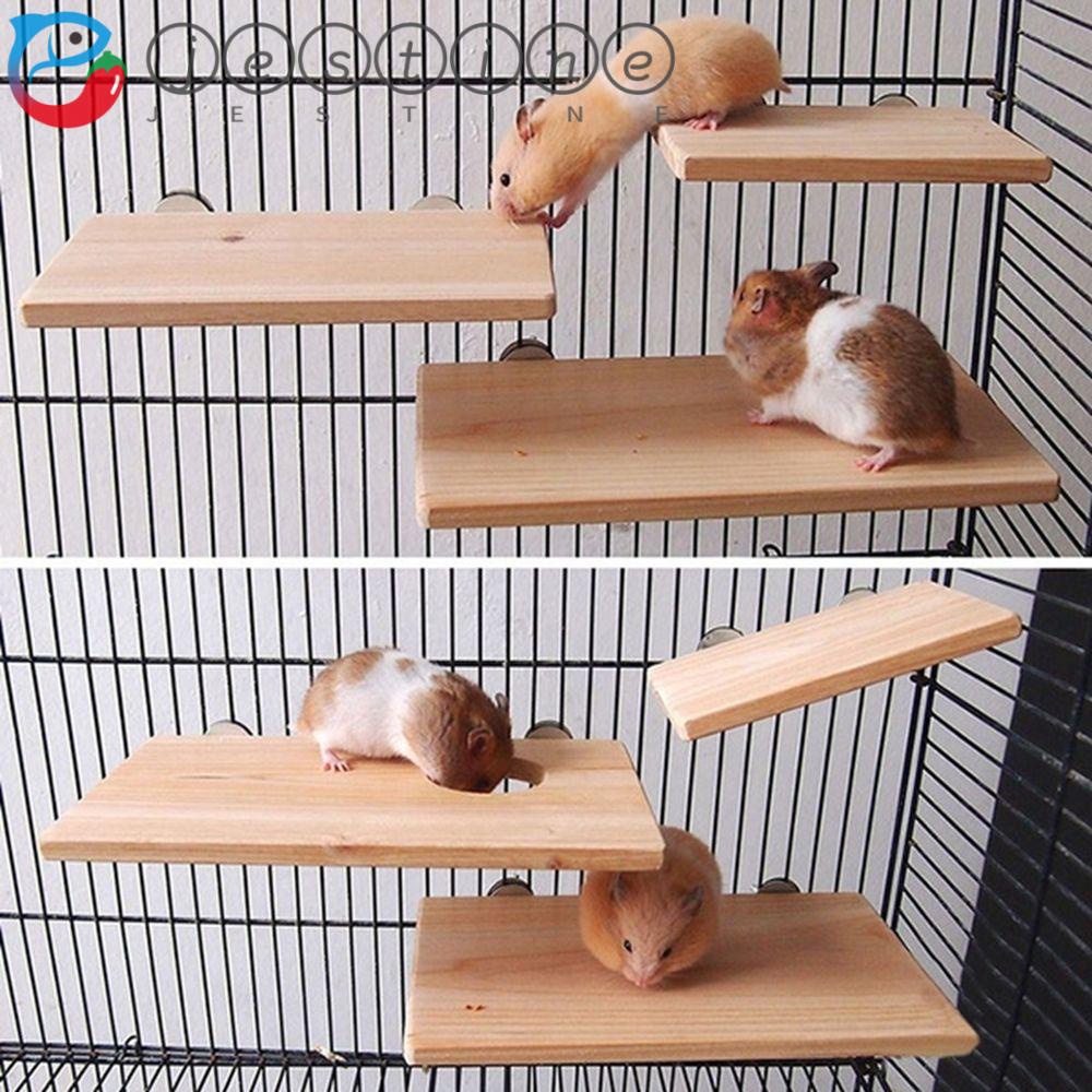 JESTINE Chinchilla Wood Stand Platform Springboard Parrot Rack Pet ...
