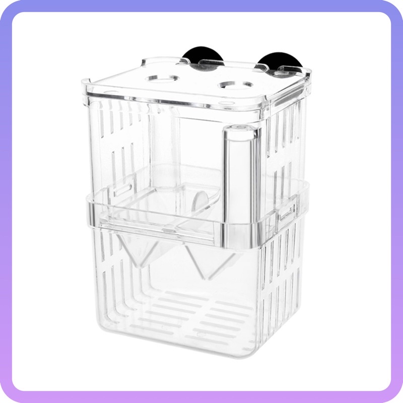 (SG Ready Stock) Fish Breeding Incubator Box for Aquarium Fish Tank ...