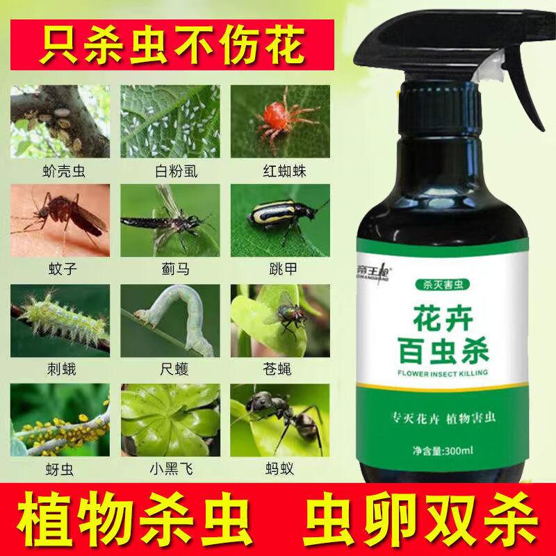 XMSJFlowers Insecticide Aerosol Green Plants Universal Anther Succulent ...