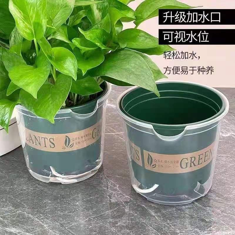 Green Radish Absorbent Basin Thickened Plastic Basin Small Green Plant ...