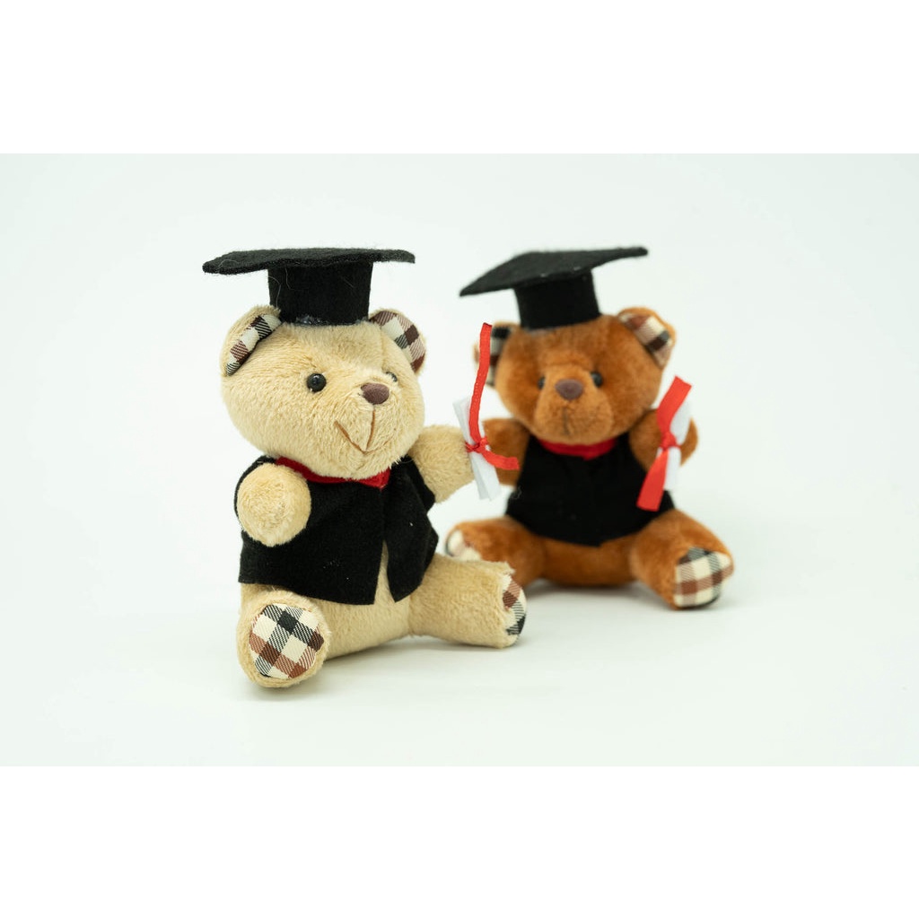 [SG Stock] Graduation Bear 10cm Graduation Soft Toy Customisable ...