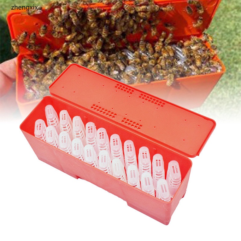 Bee Mating Box Foam Bee Storage Box Harvest Bee Hive Beehive Beekeeping ...