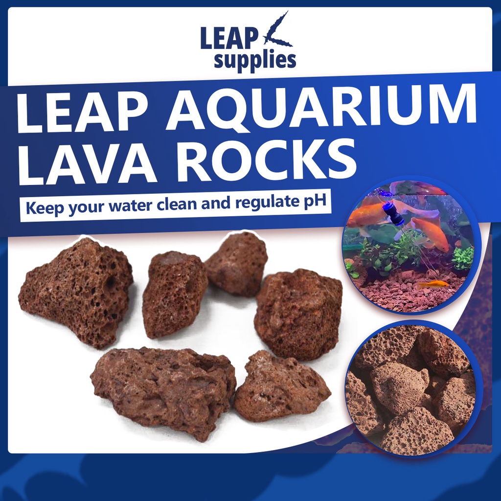 LEAP Aquarium Lava Rocks | Aquarium Filter Lava Stone Rock | Shopee ...