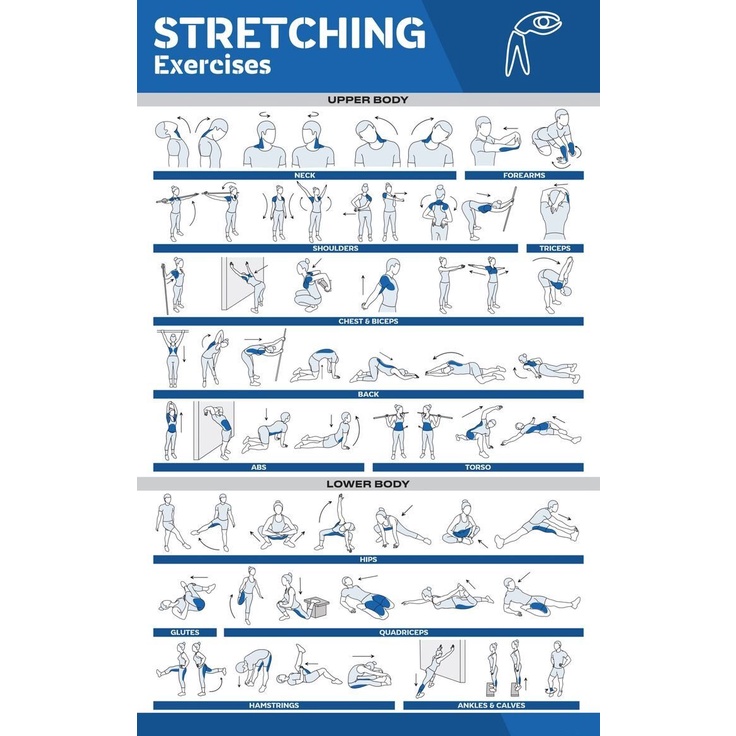 Family Gym Stretching Exercise Poster Whole Body Exercise Core Abs Legs ...