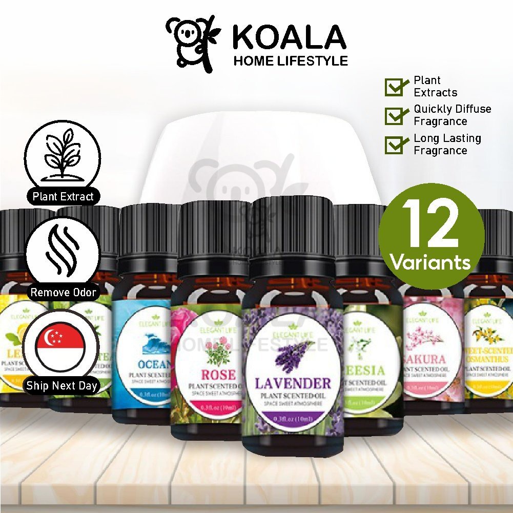 🇸🇬Koala Home🔥Humidifier Essential Oil for diffuser 10ml Essential Oil ...