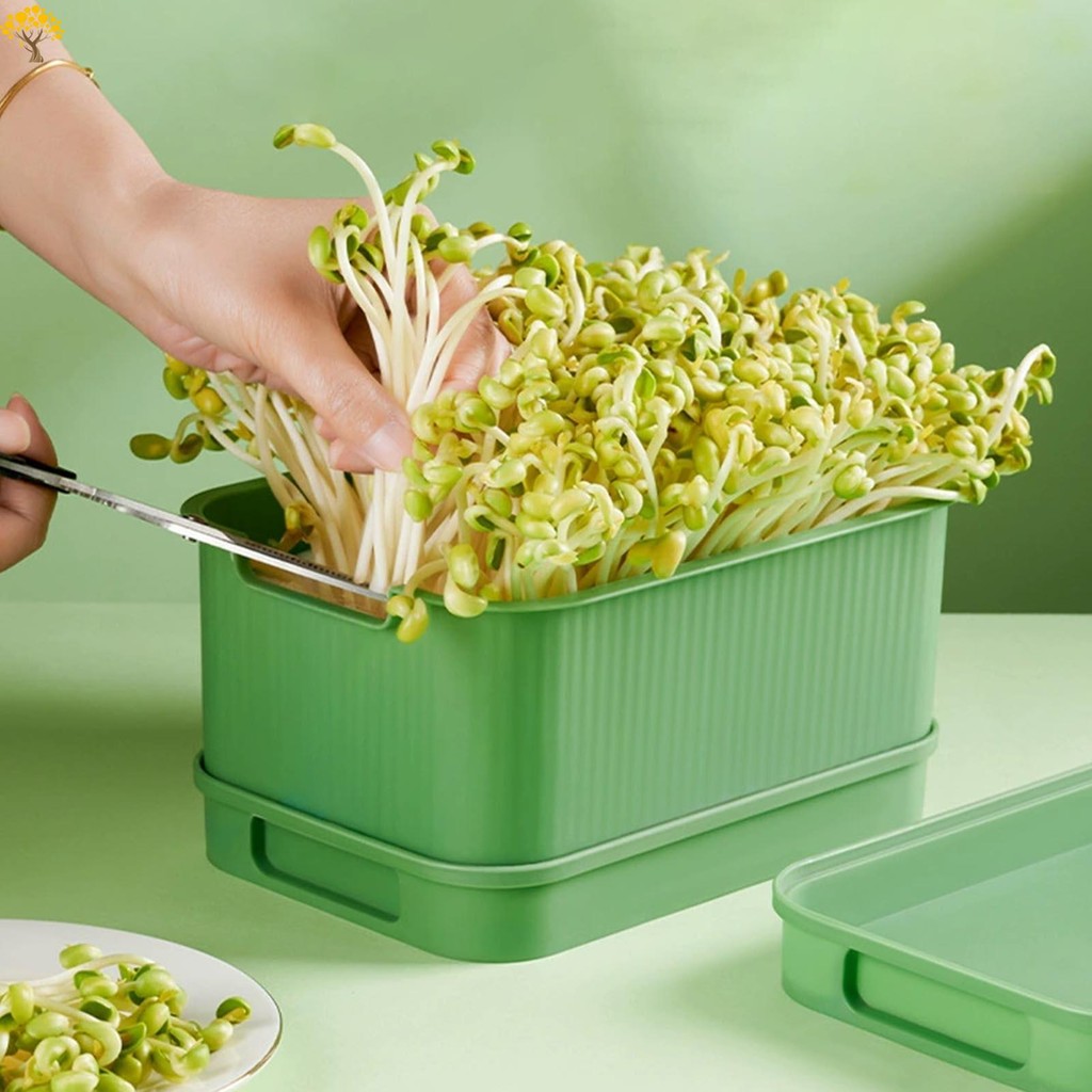 Bean Sprouts Plants Seedling Pots Saving Space Design Planting ...