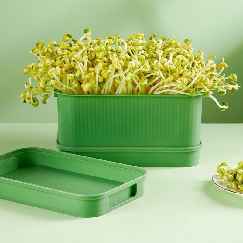 Sprouts Growing Tray, Tool Hydroponic Sprouting Plate, Sprout Planting ...