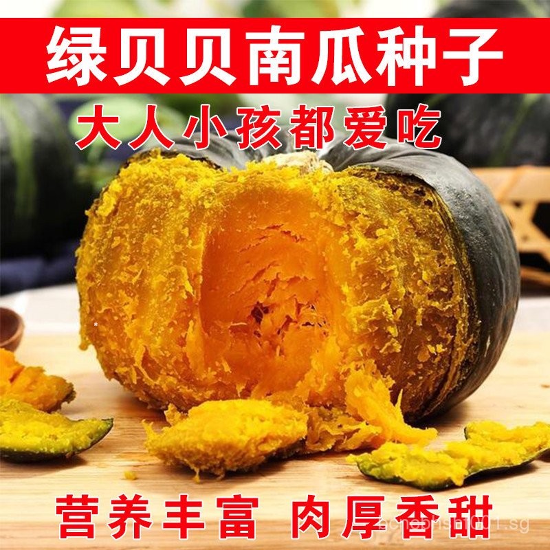 Beibei Small Pumpkin Sweet and Sticky Super Sweet High-Yield Extra ...