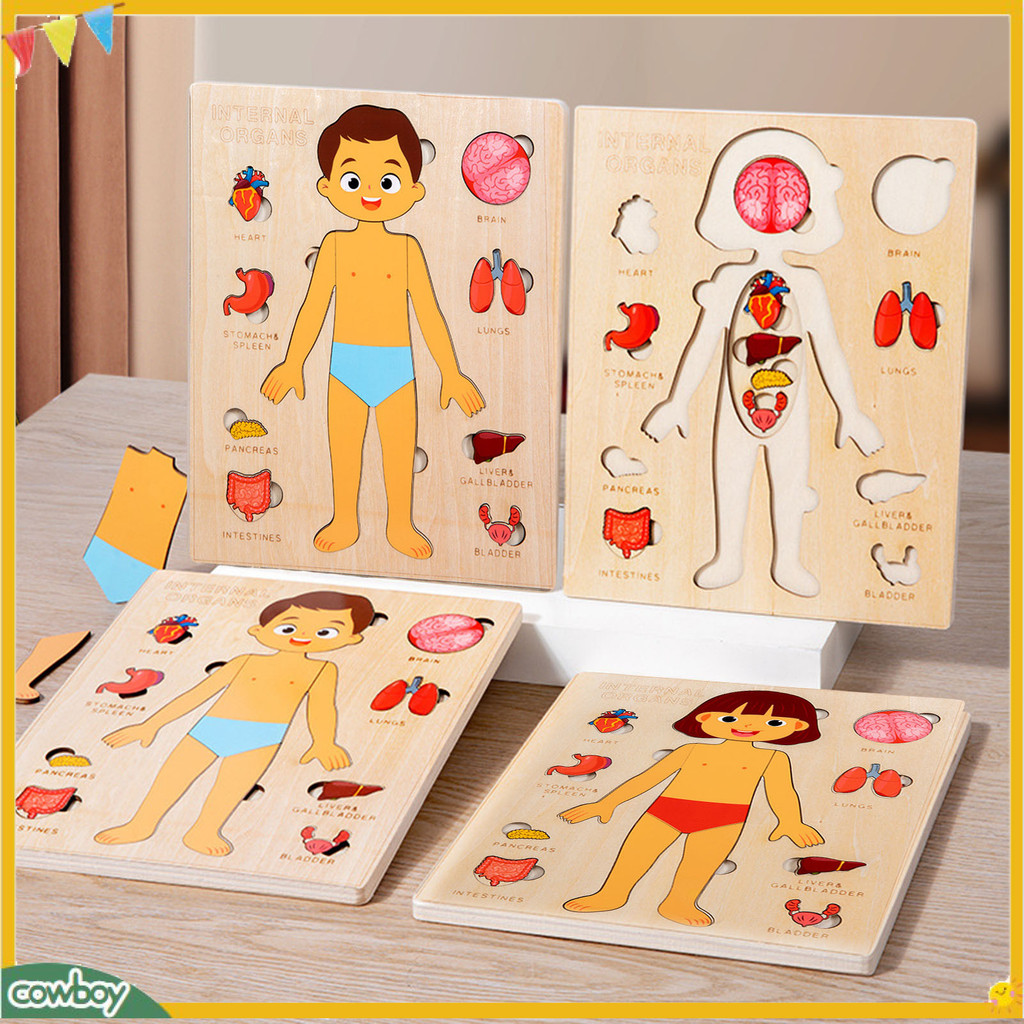 Kids Educational Puzzle Educational Anatomy Puzzle Wooden Body Puzzle ...