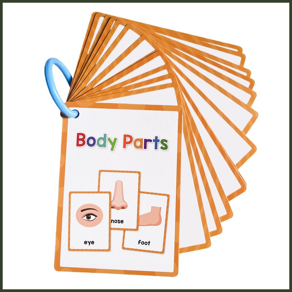 Body Parts Pocket Card English Flash Card Body Parts Pocket Card ...