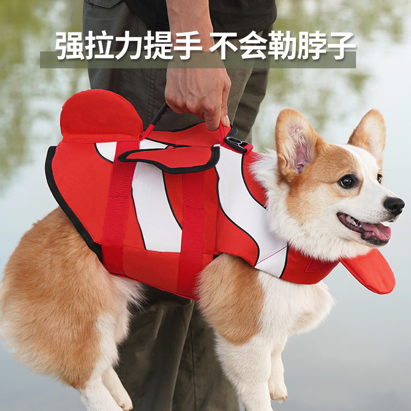 Dog Life Jacket Puppy Corgi and Shiba Inu Jarre Aero Bull Vest Swimsuit ...