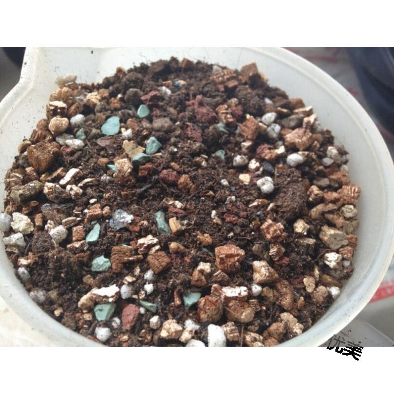 J-9/Succulent Plant Granular Soil Big Han Peat Soil Vermiculite Perlite ...