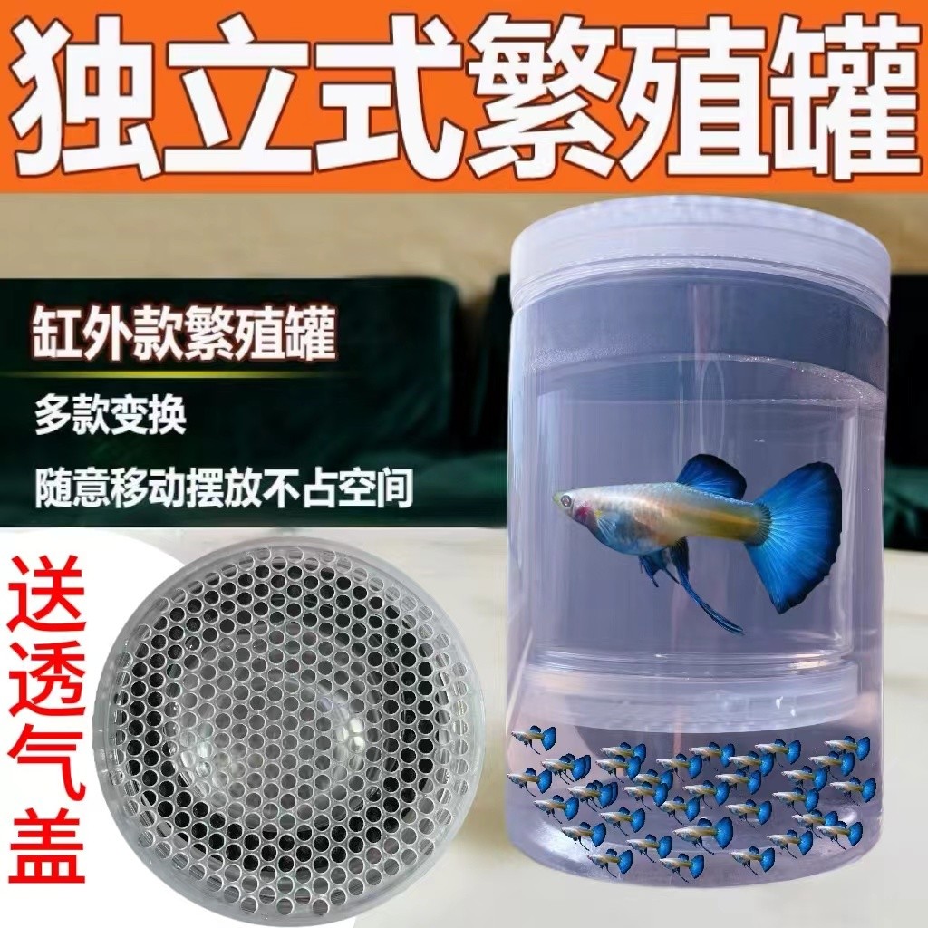 Guppy Breeding Tank Independent Fish Tank Aquarium Outside Tank ...