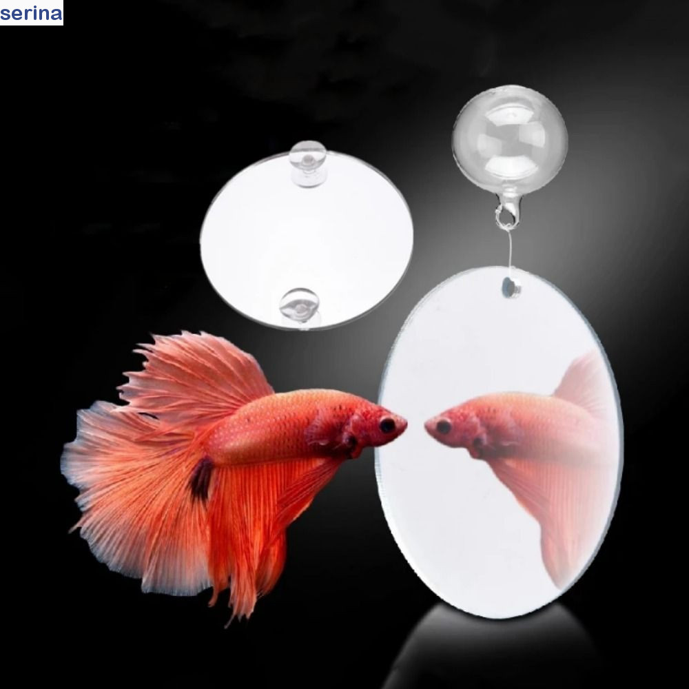 SERINA Fish Training Mirror, Decorative Round Aquarium Betta Mirror ...